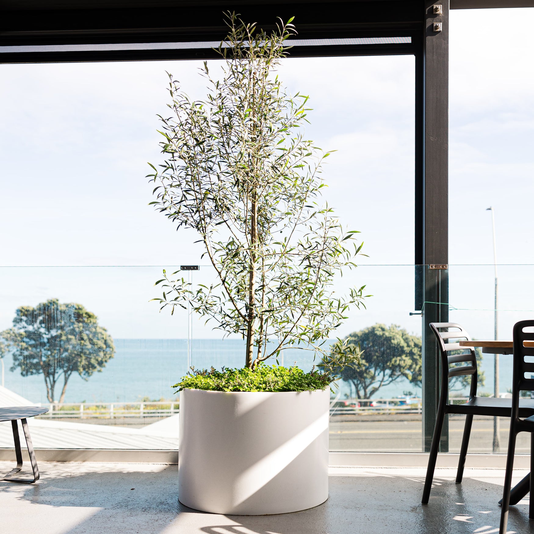 Modscene Designer Plant Pots - Large Planters | NZ