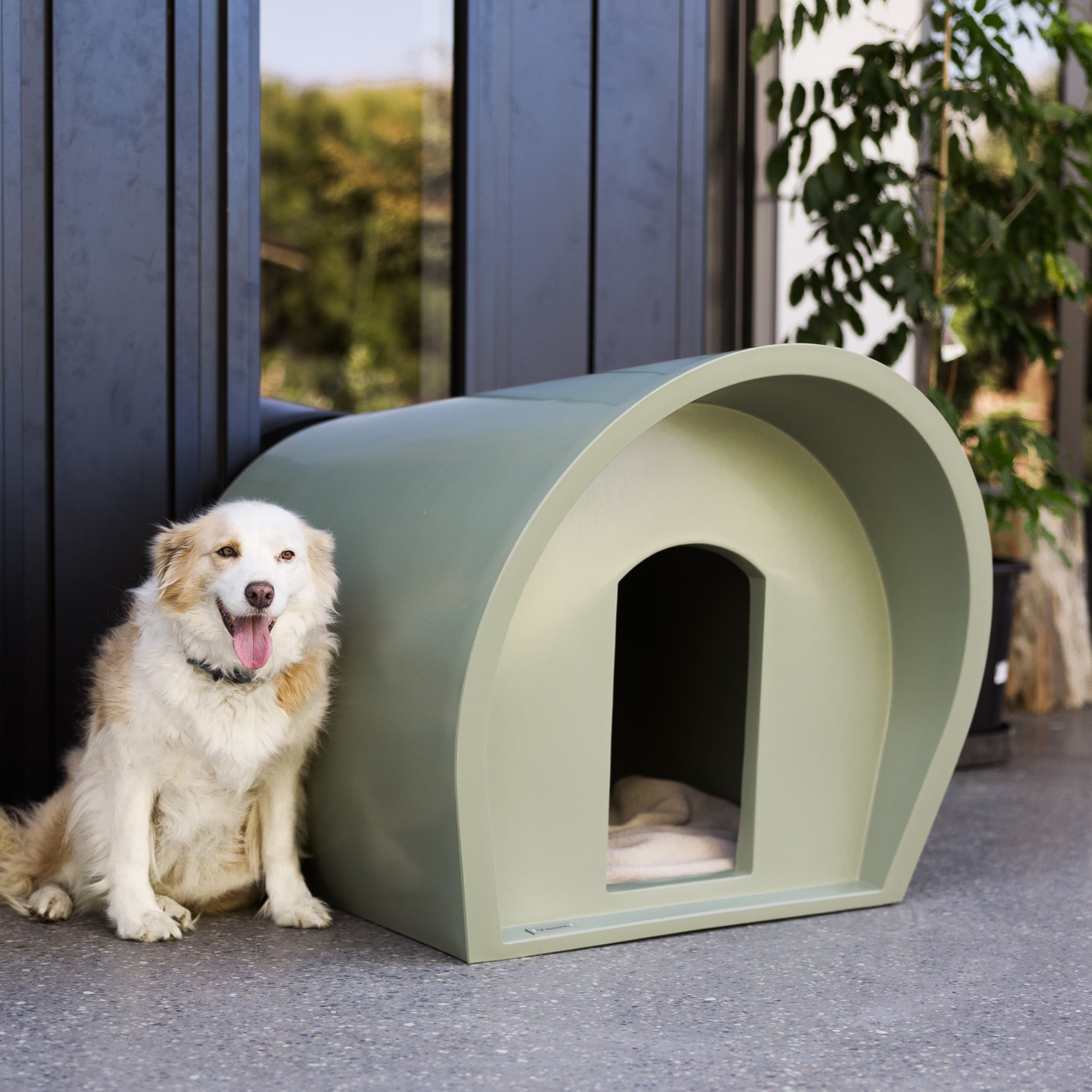 Medium Size Dog House - Modern Kennel - Modscene | NZ